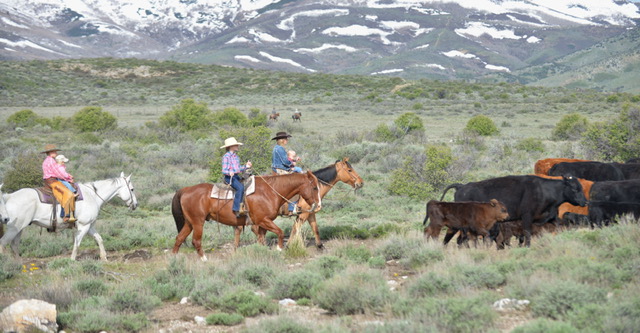 march 2023 – Cultivated Audio